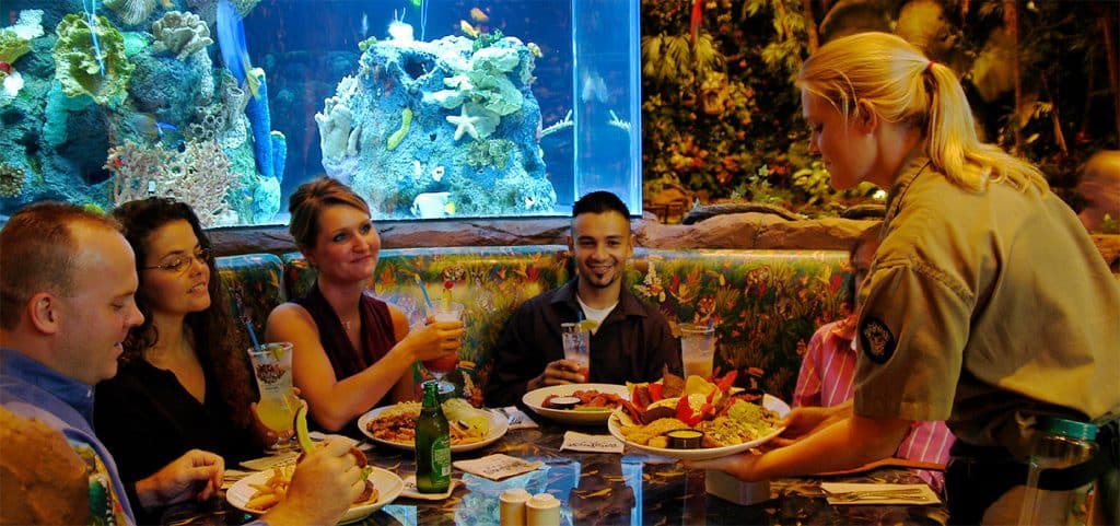 Restaurant Menu - Rainforest Cafe Niagara Falls Restaurant